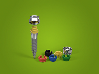 The Straumann Dental Implant System